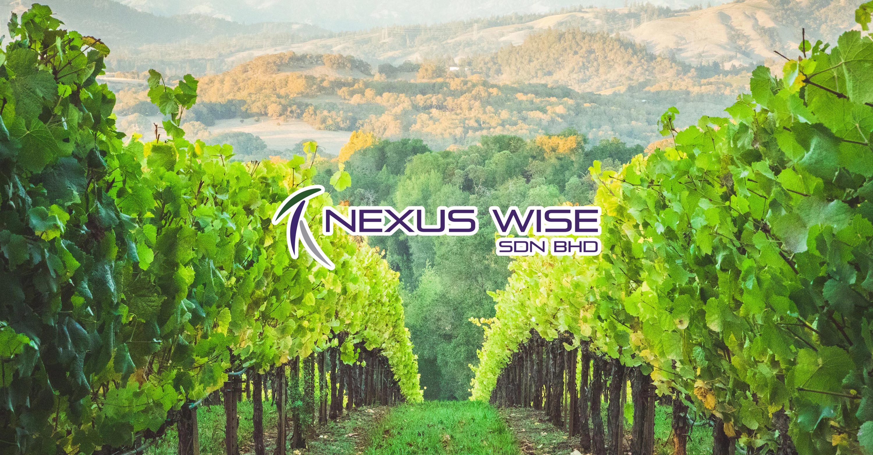 Benicaros® - Nexus Wise Malaysia